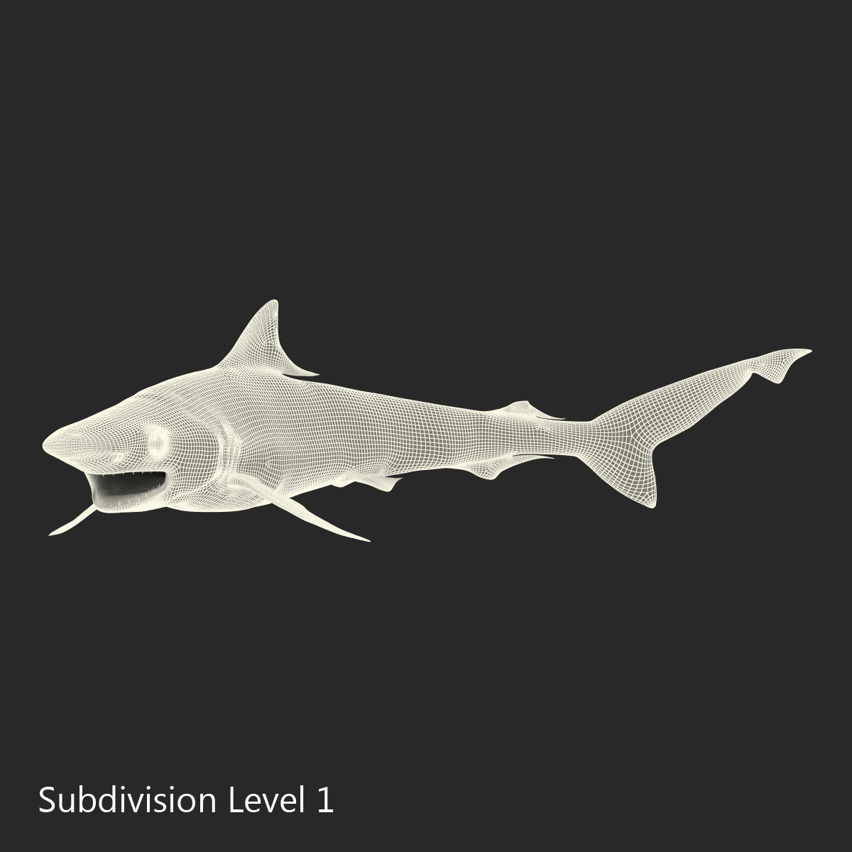 Milk Shark Pose 2 3D模型3D模型 - TurboSquid 1012333
