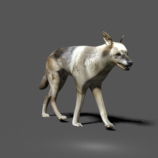 modelo 3d lobo - TurboSquid 1012115