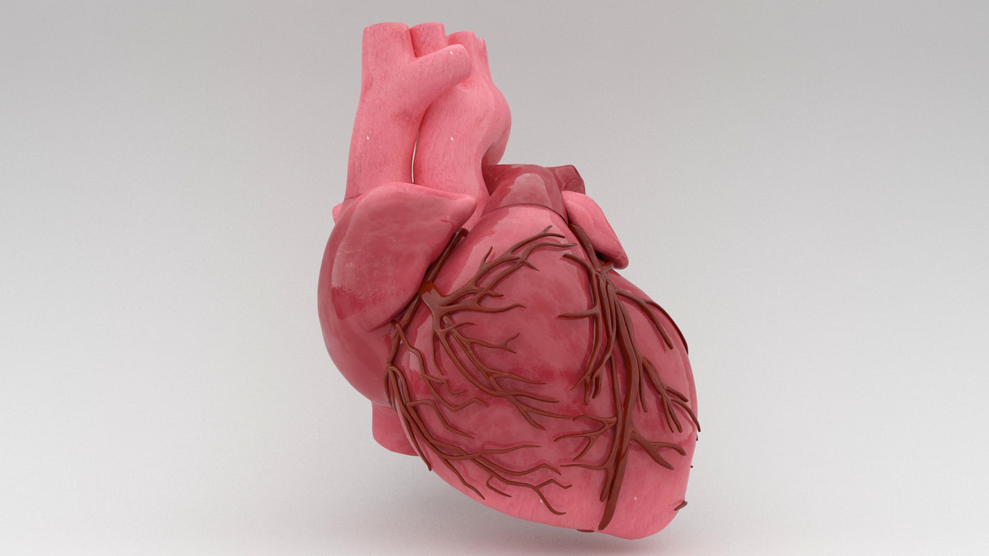 modelo 3d Corazón - TurboSquid 1012351