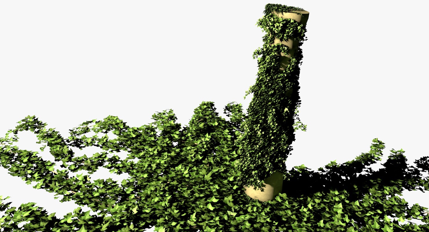 3d vines grow
