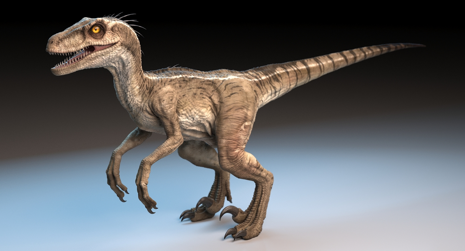 raptor dinosaur 3d model