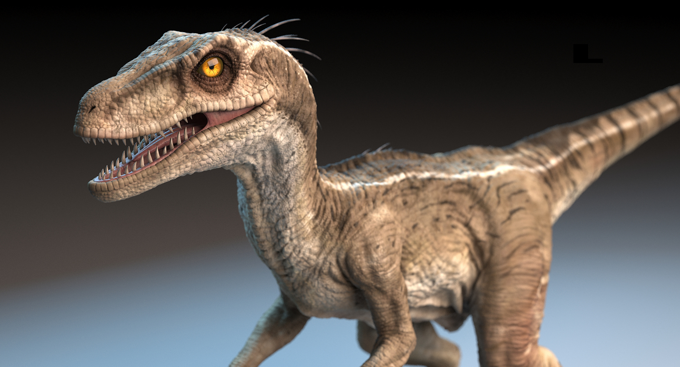 raptor dinosaur 3d model