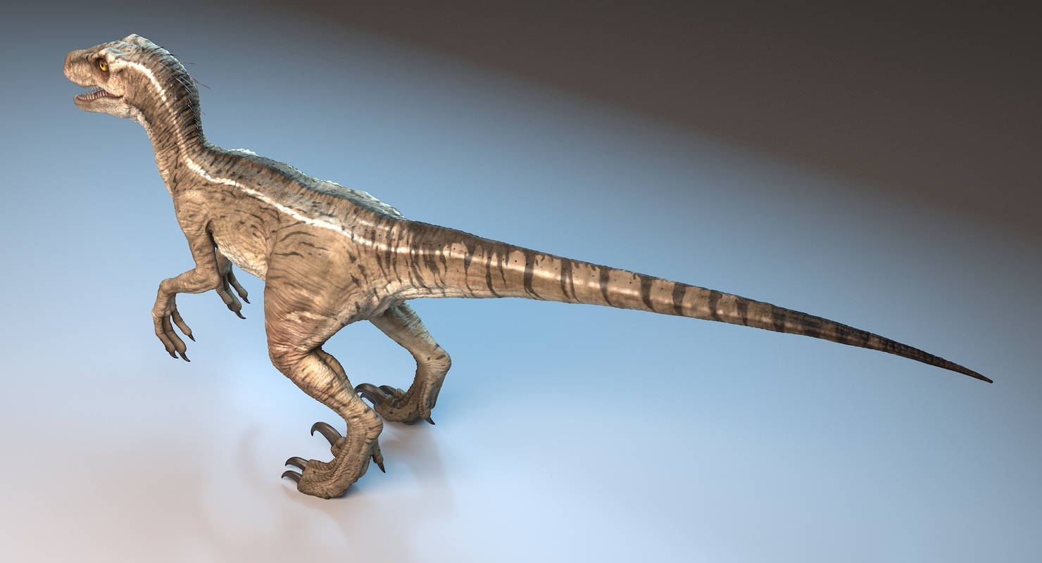 raptor dinosaur 3d model