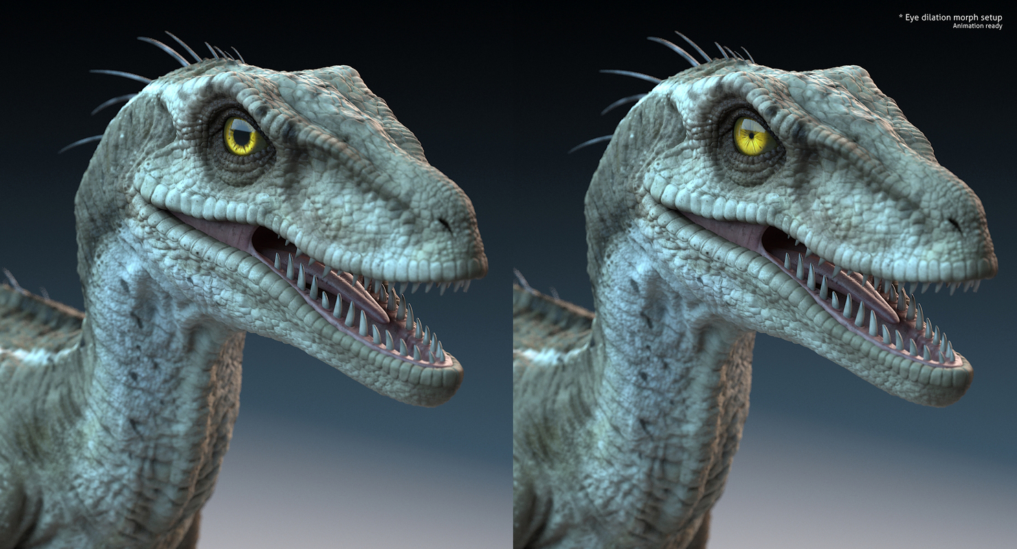raptor dinosaur 3d model