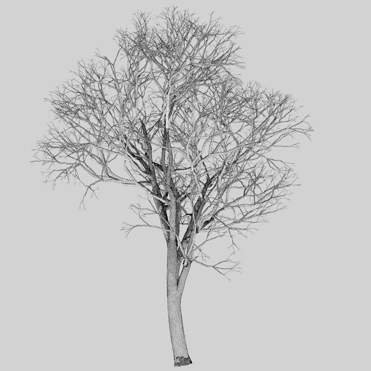 3d model winter tree