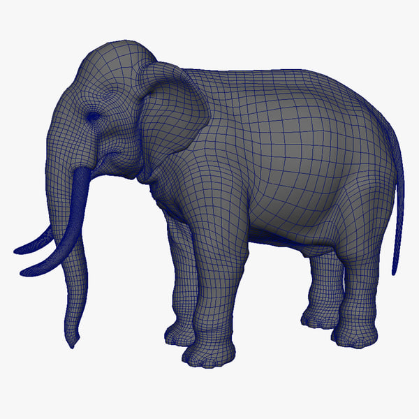 basemesh elephant uvs 3d obj