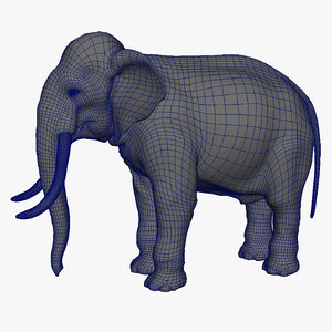Elephant 3D Models for Download | TurboSquid