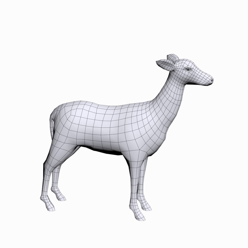 3d doe female deer model