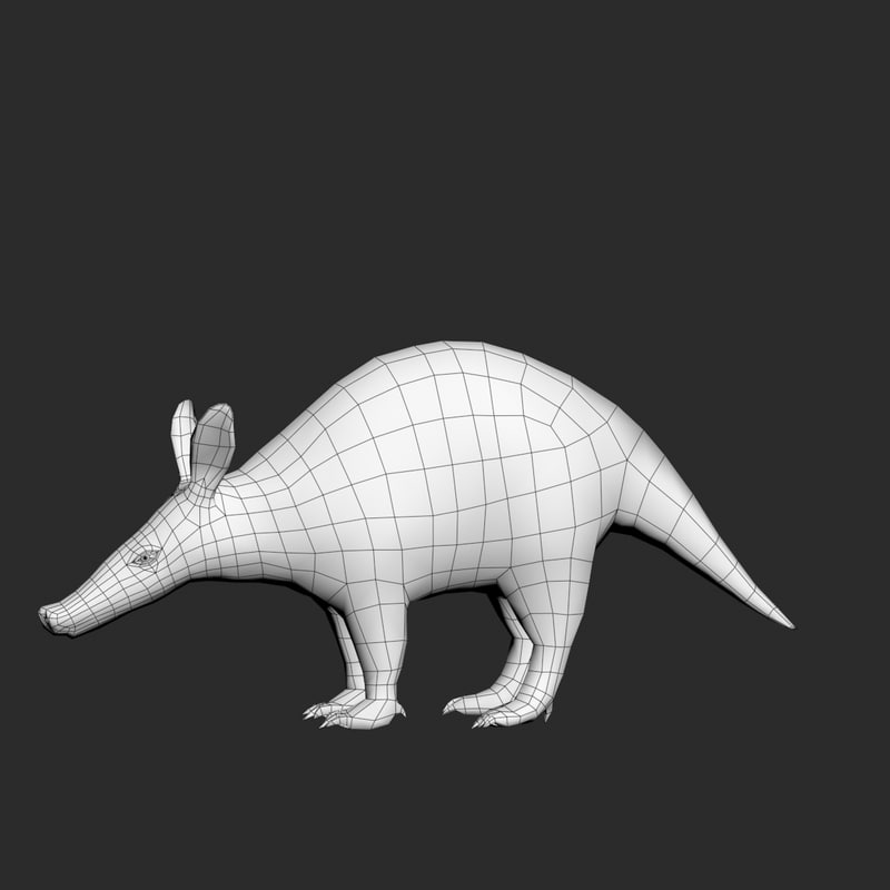 3d model aardvark orycteropus afer