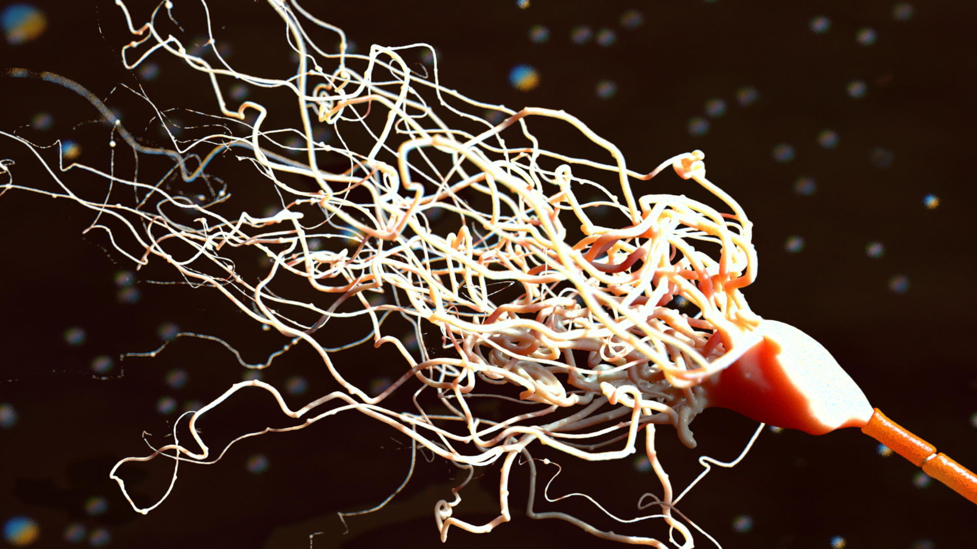 3d neuron myelin sheath model