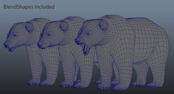 3d model of bear rigged 2 fur
