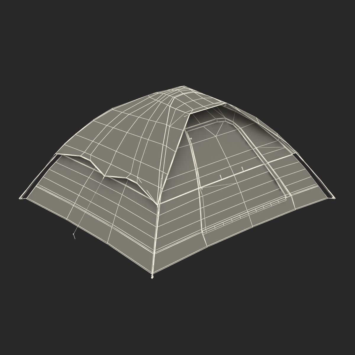 3d camping tent