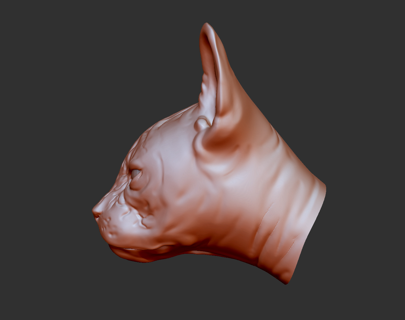 3d cat head