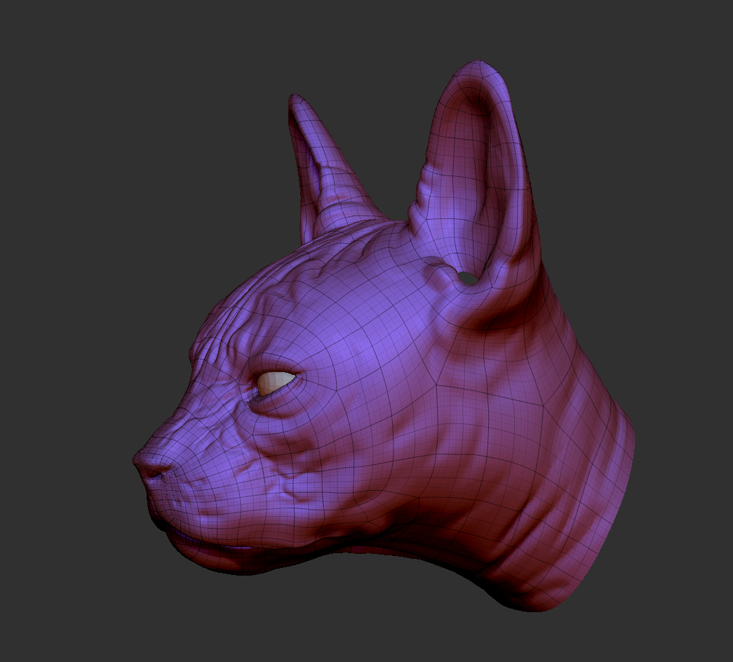 3d cat head