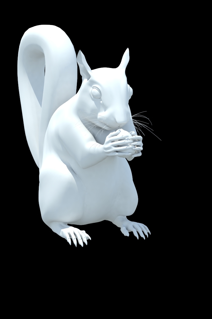 3d squirrel modelled modo model