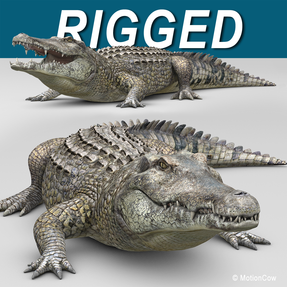 Blender Models - Download blend Files | TurboSquid