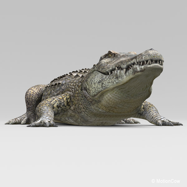 realistic crocodile max