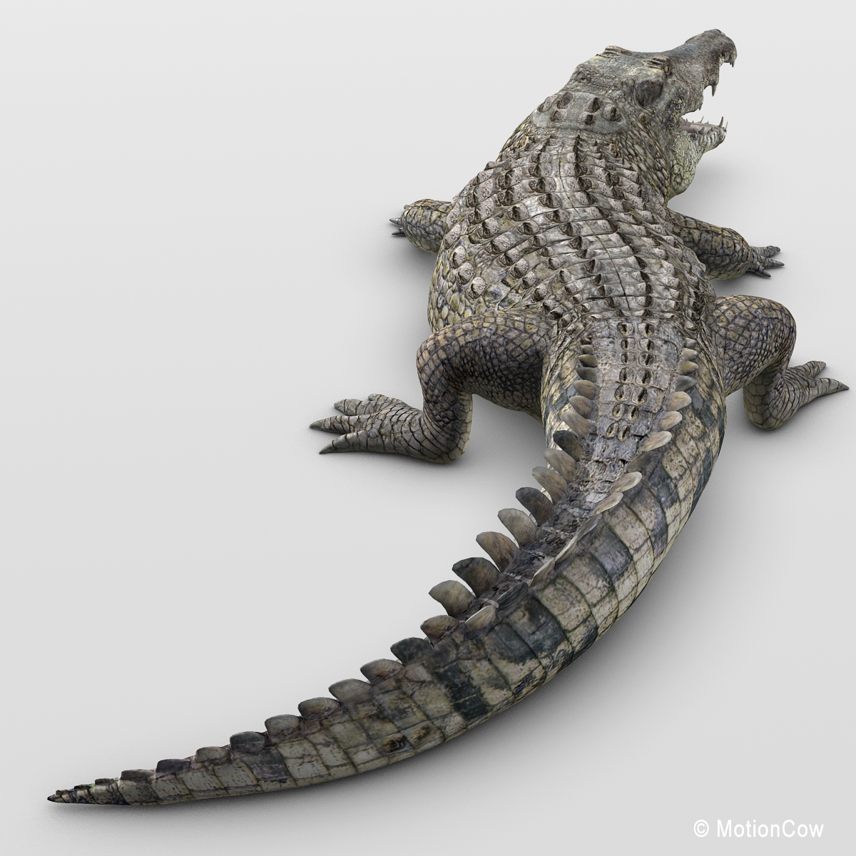 realistic crocodile max