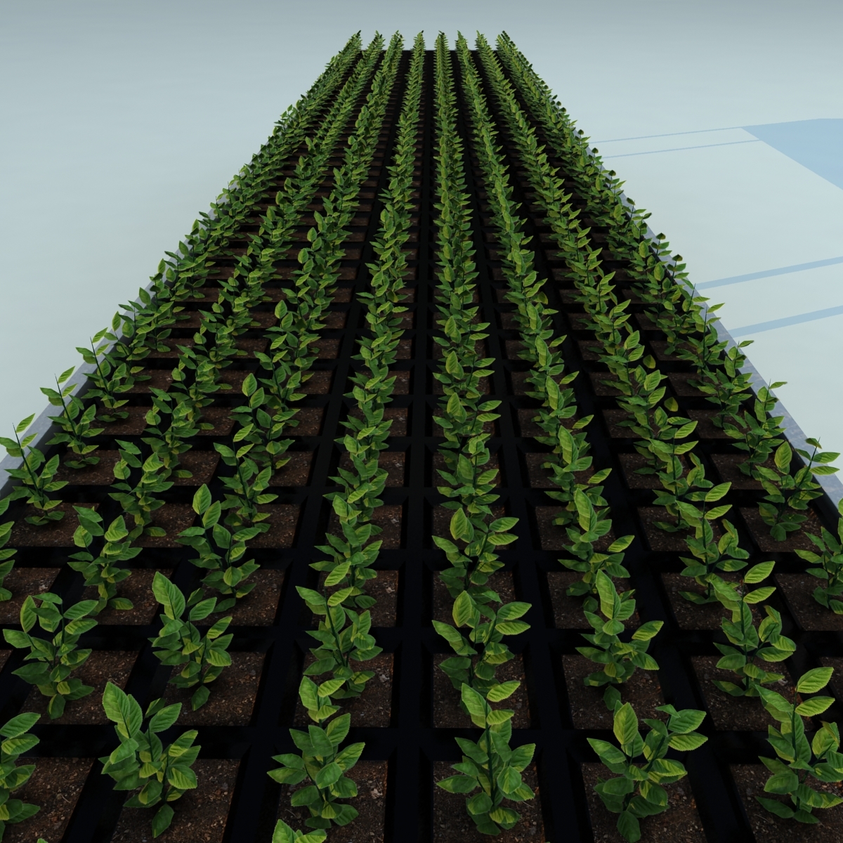 seedling table 3d model