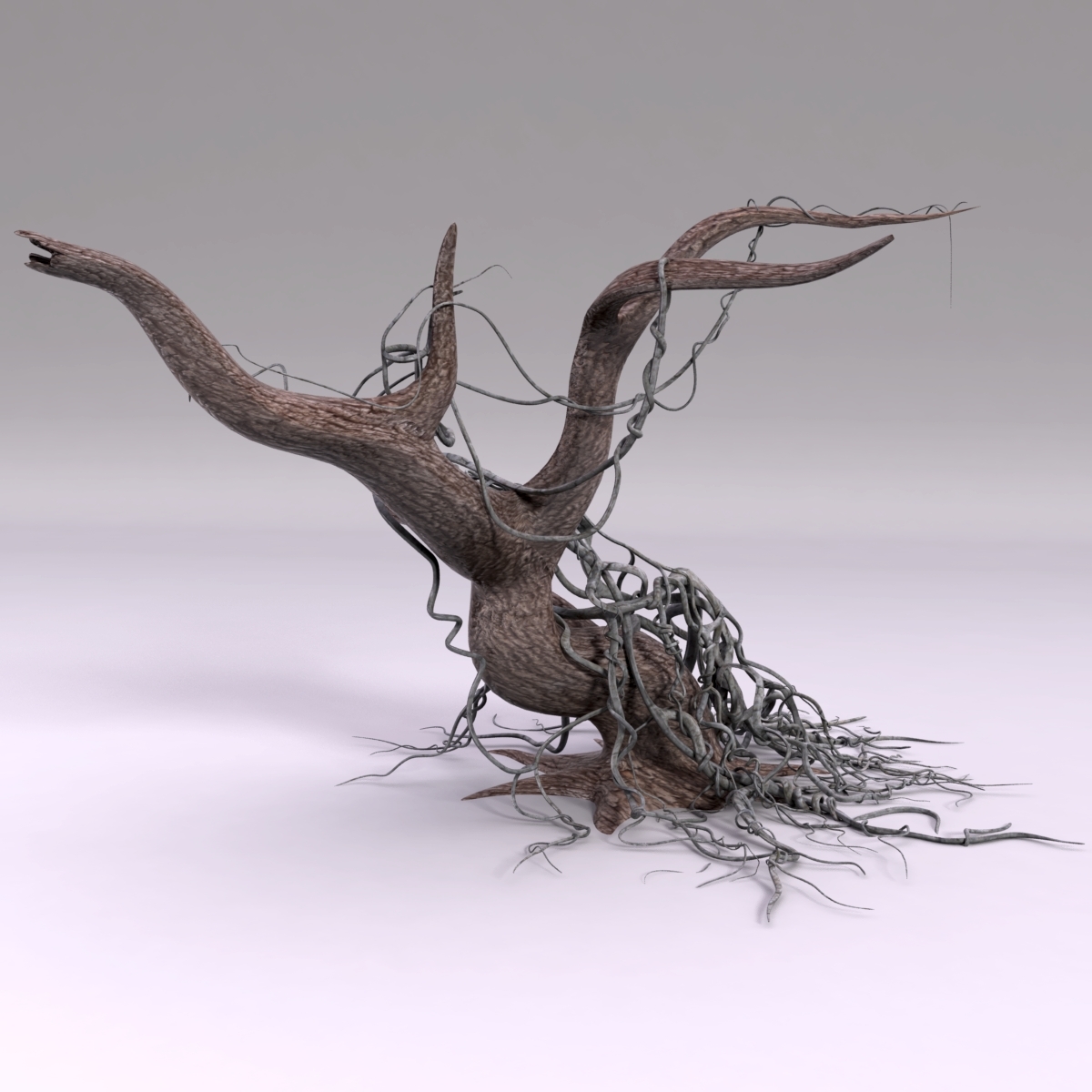 modèle 3D de Liane - TurboSquid 1015138