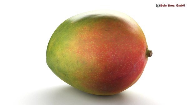 3d photo realistic mango model
