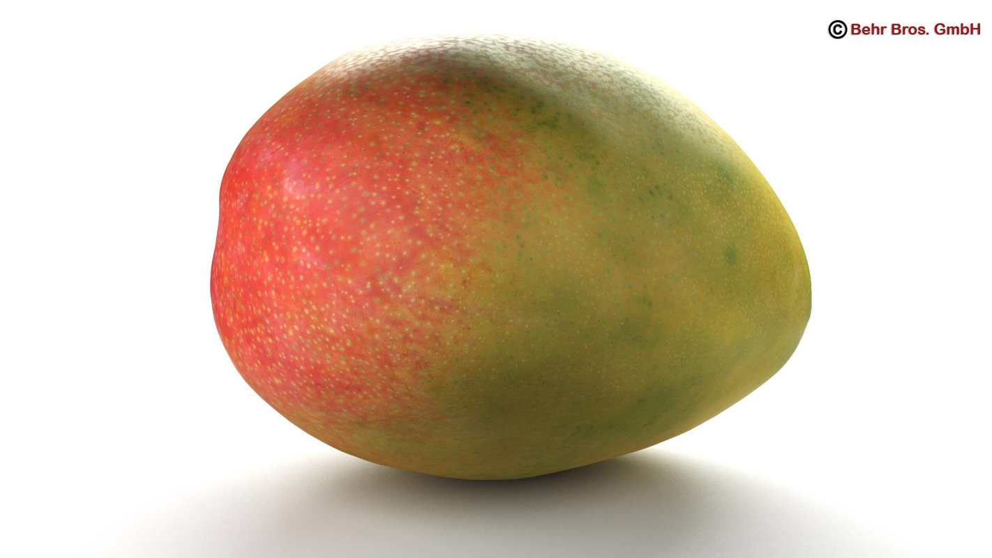 3d photo realistic mango model
