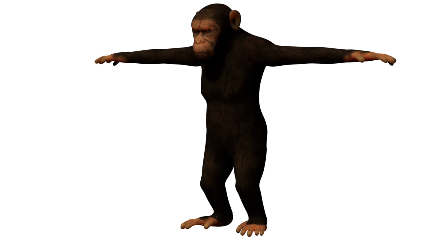 원숭이 -Simio 3D 모델 - TurboSquid 1016087