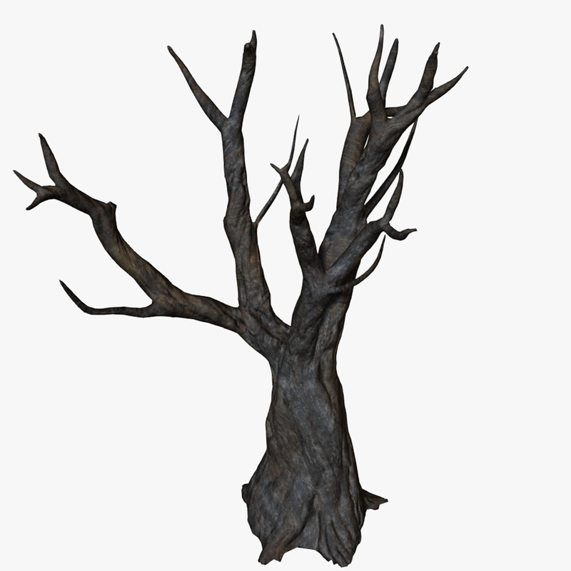 old dead tree 3d model