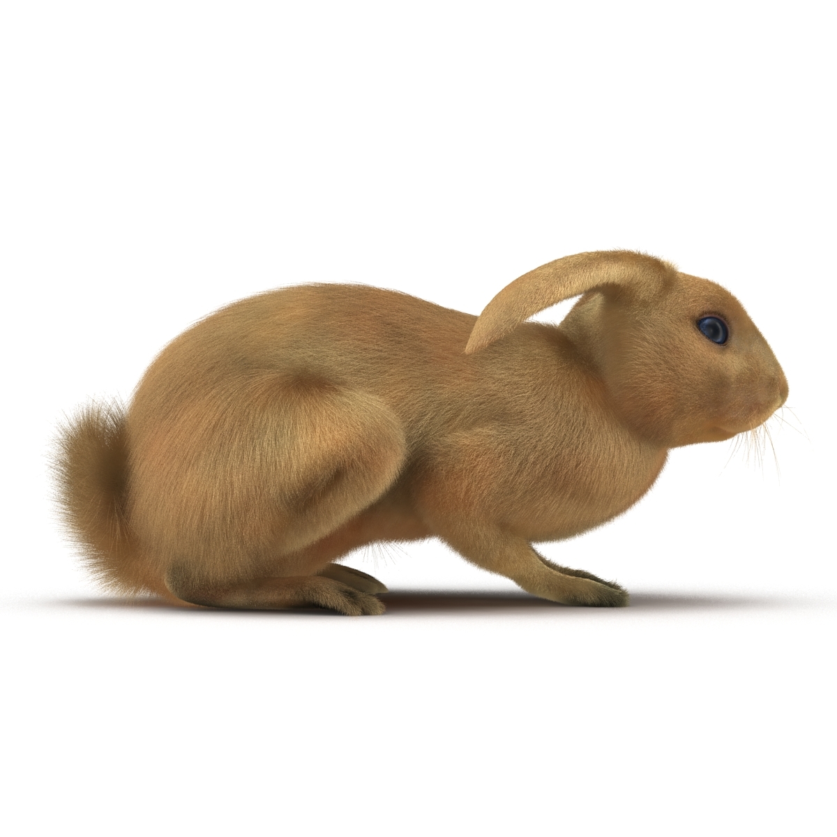 rabbit pose 2 3d model