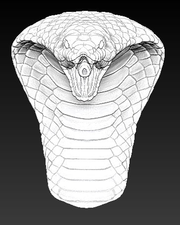 3d cobra head