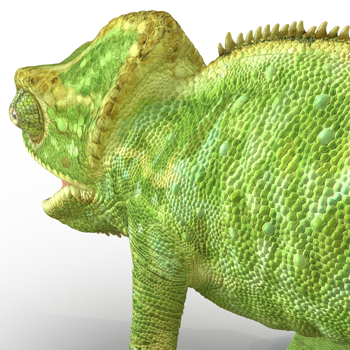Chamäleon 3D-Modell - TurboSquid 1017537