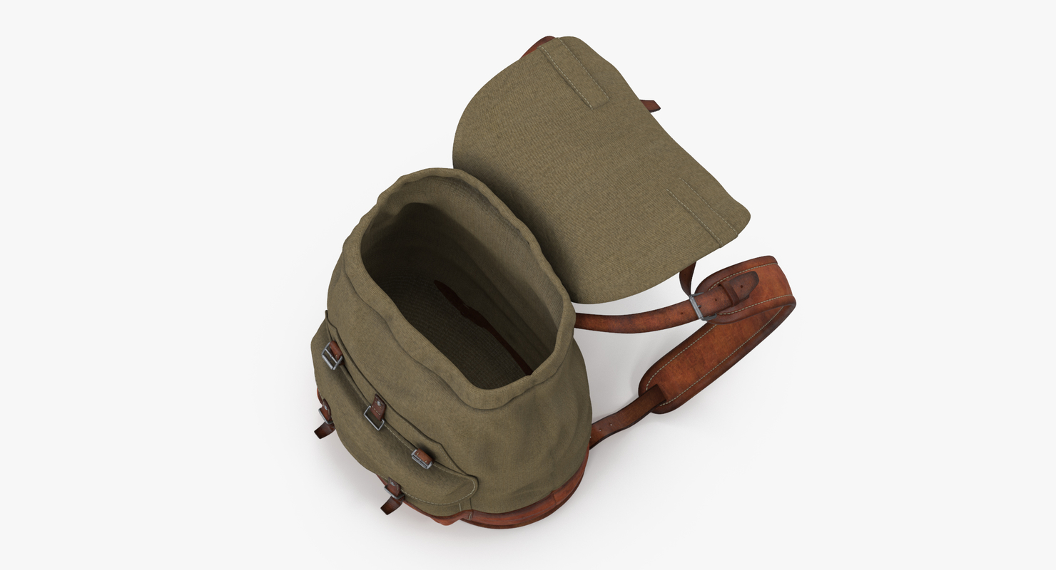 standing open travel backpack 3d model