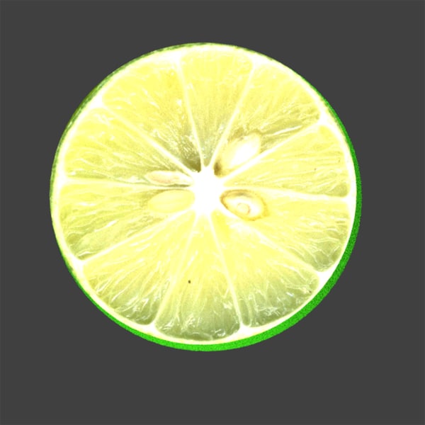 lemon slice 3d model