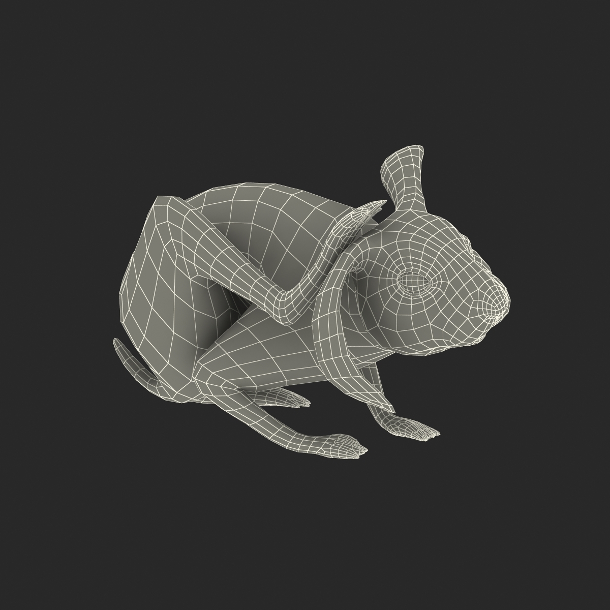 3d Rabbit Pose 4