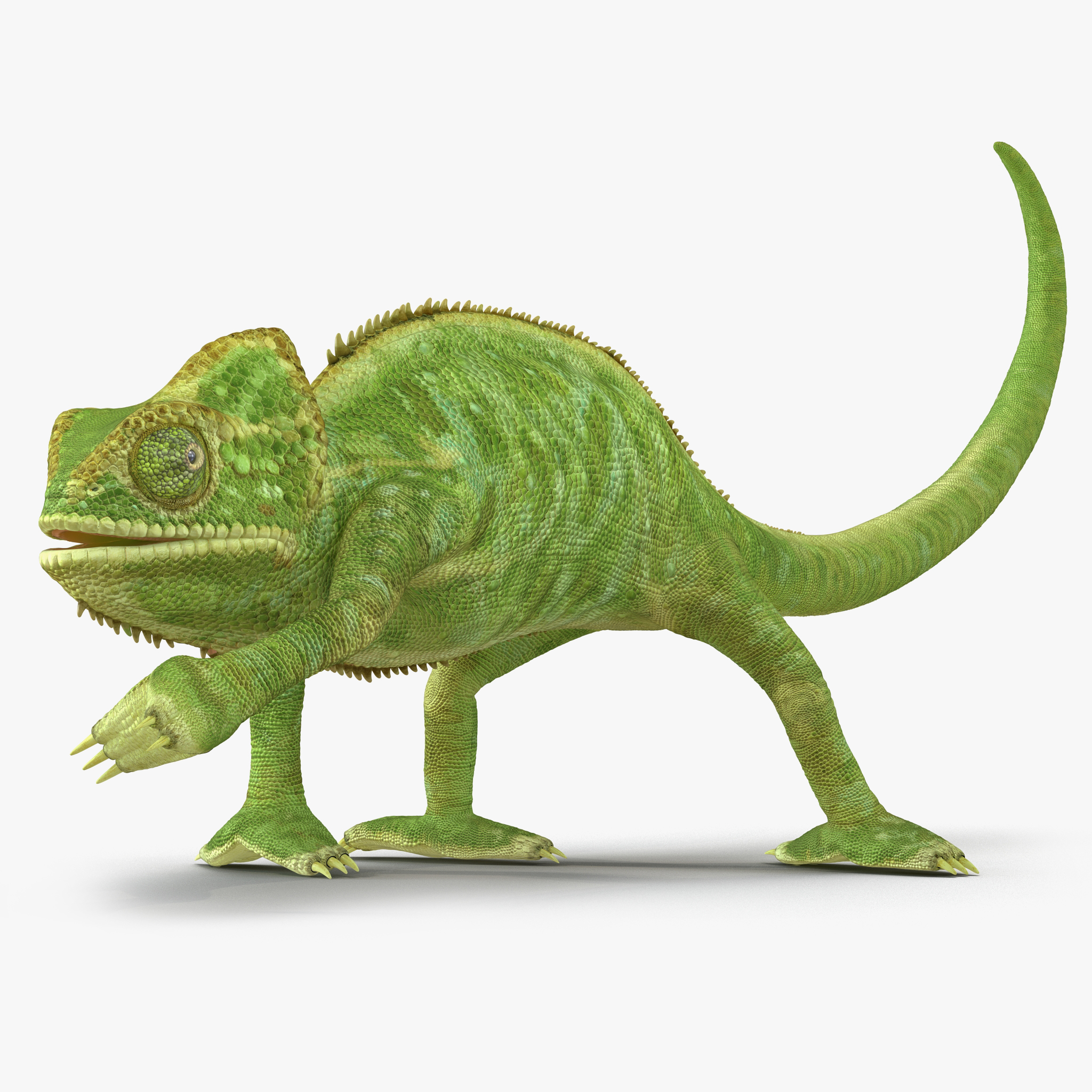 3d model chameleon pose 3