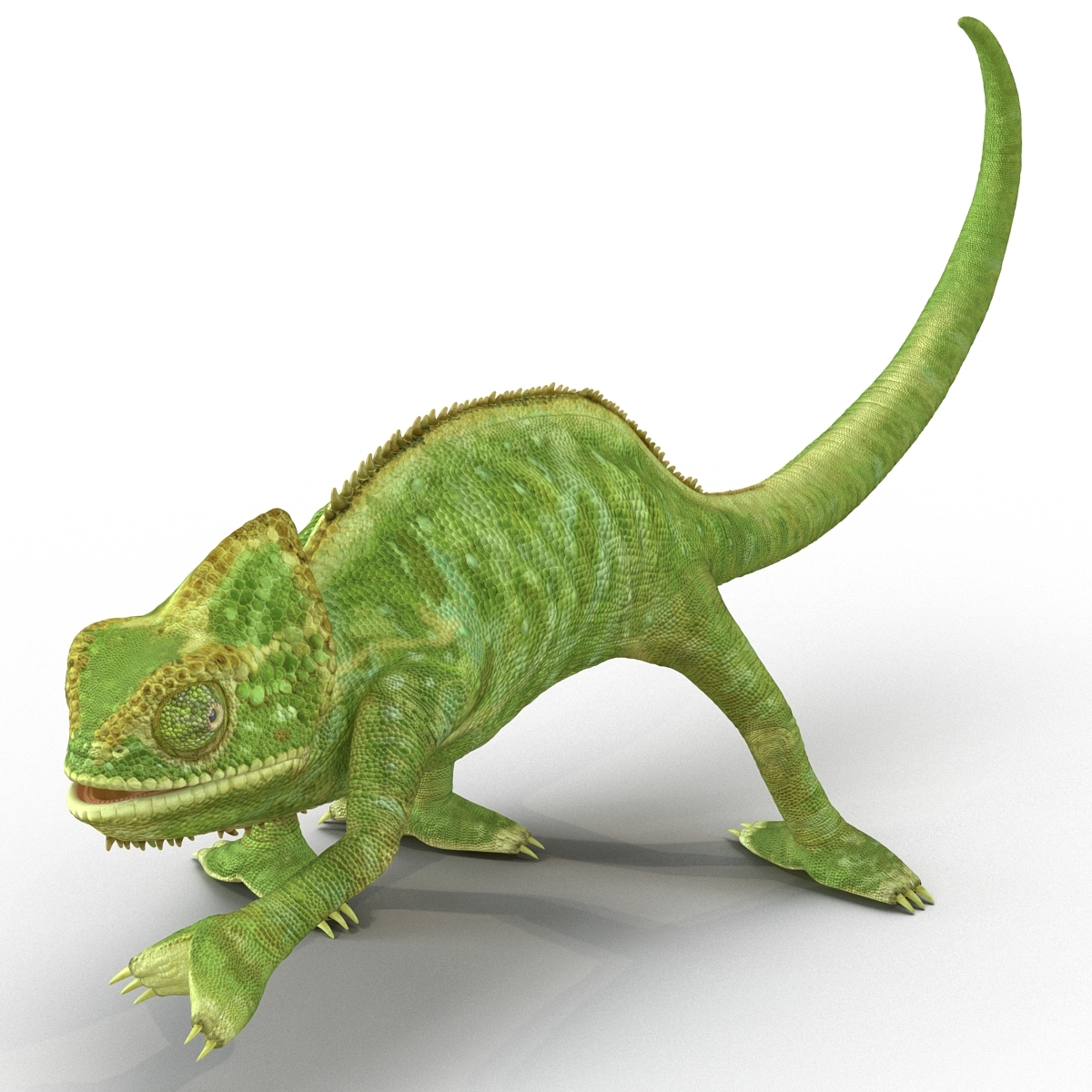 3d model chameleon pose 3