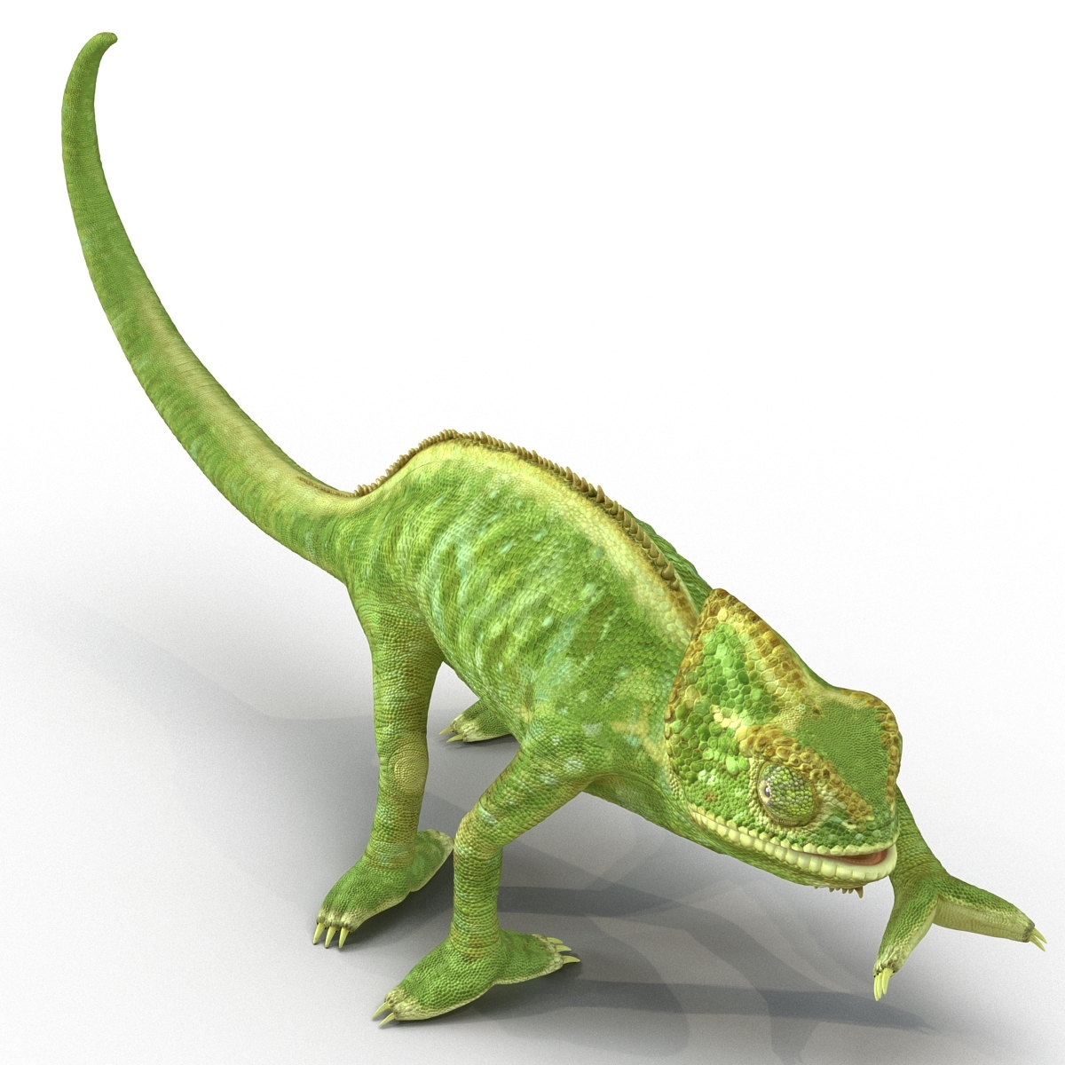3d model chameleon pose 3