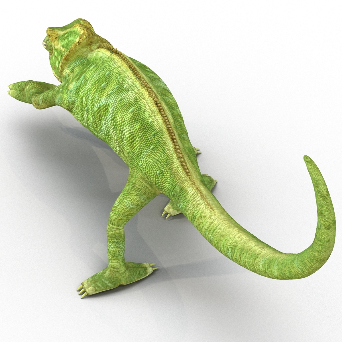 3d model chameleon pose 3