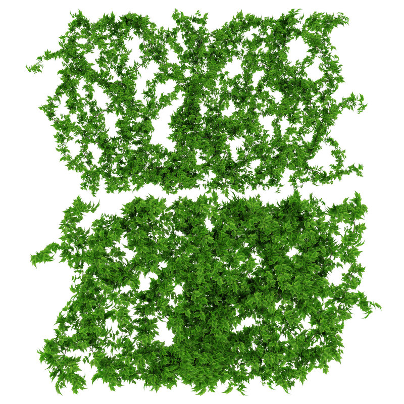 vines wall 2 items 3d max