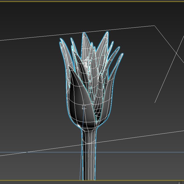 water lily flower animation max