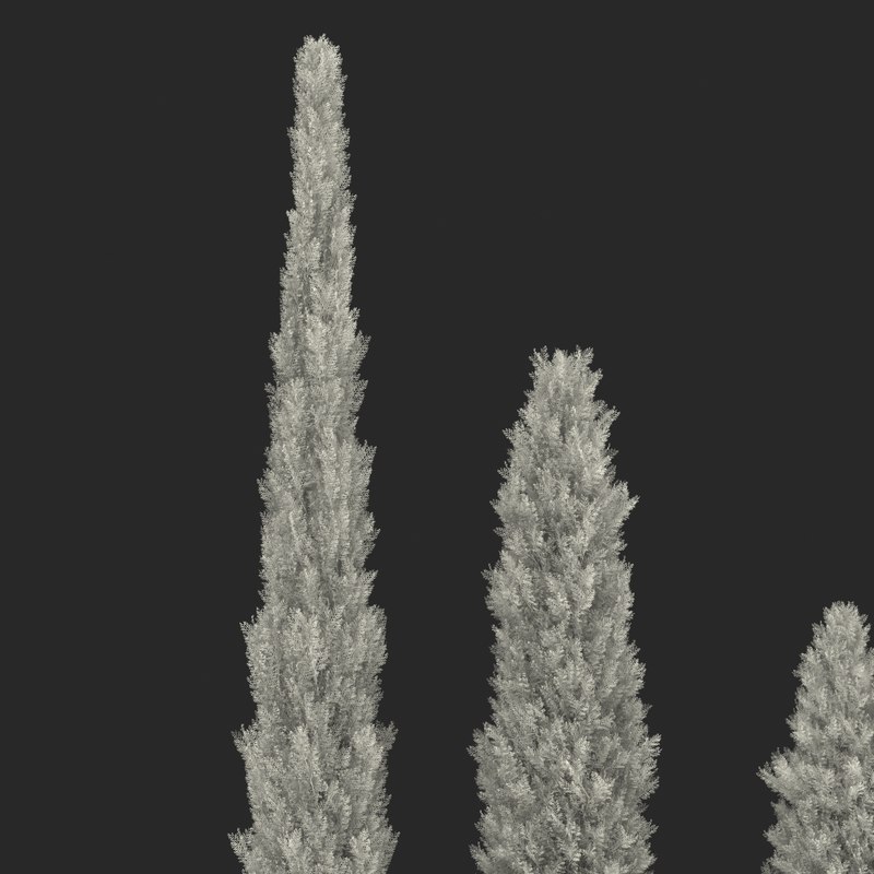 cypress trees set 3d 3ds
