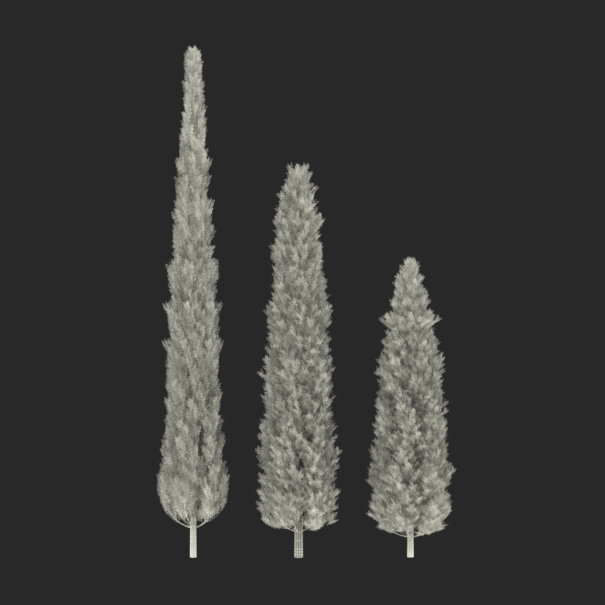 cypress trees set 3d 3ds