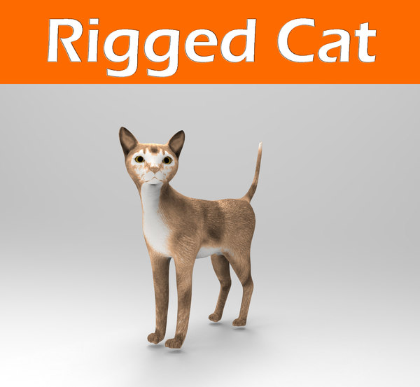 Cat Rig Maya Models for Download | TurboSquid