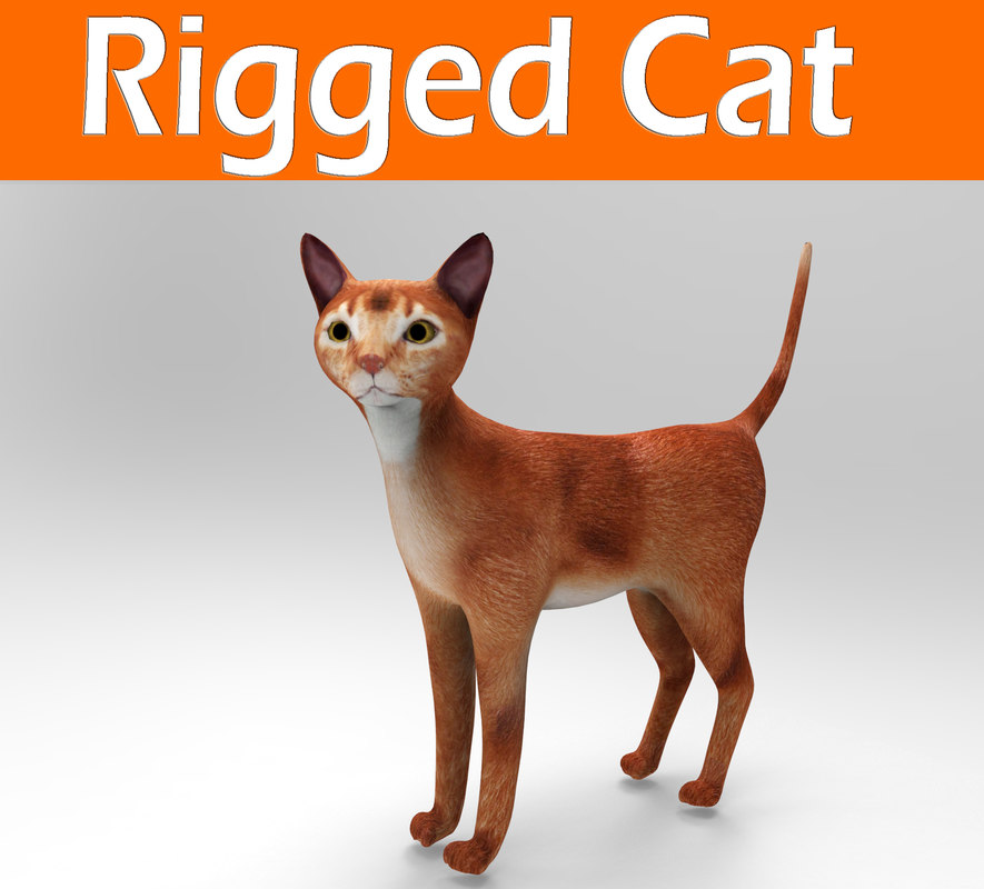3d cat rigged model
