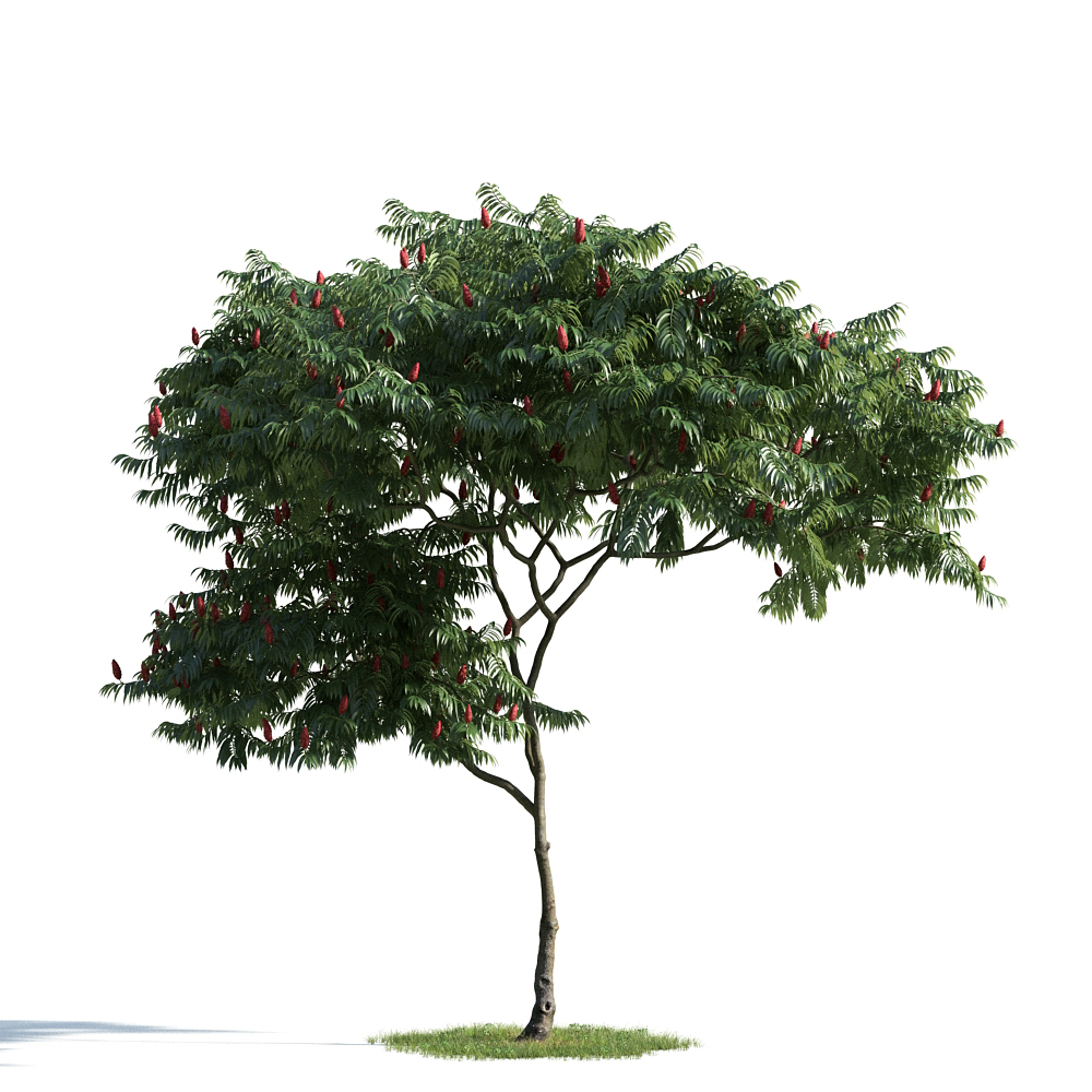 3d archmodels vol 163 trees