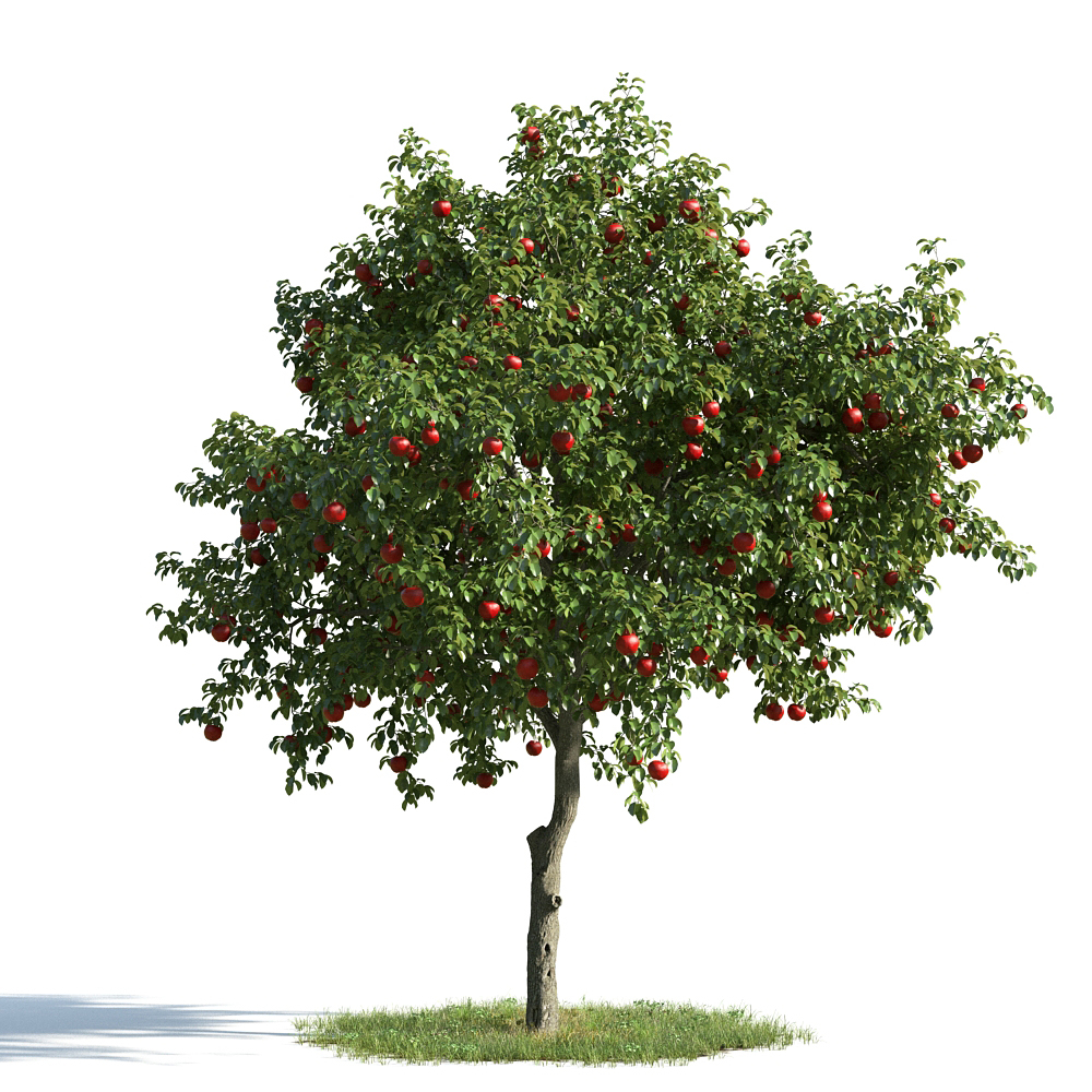 3d archmodels vol 163 trees