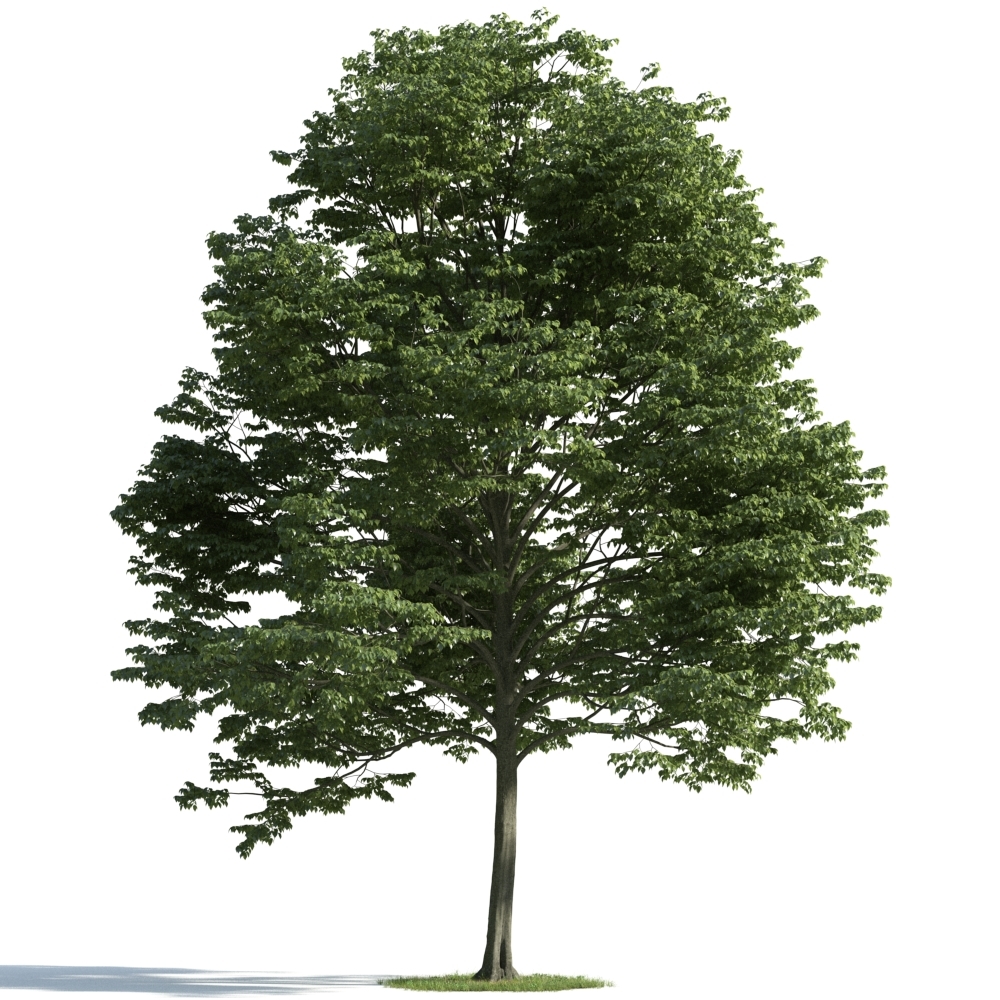 3d archmodels vol 163 trees