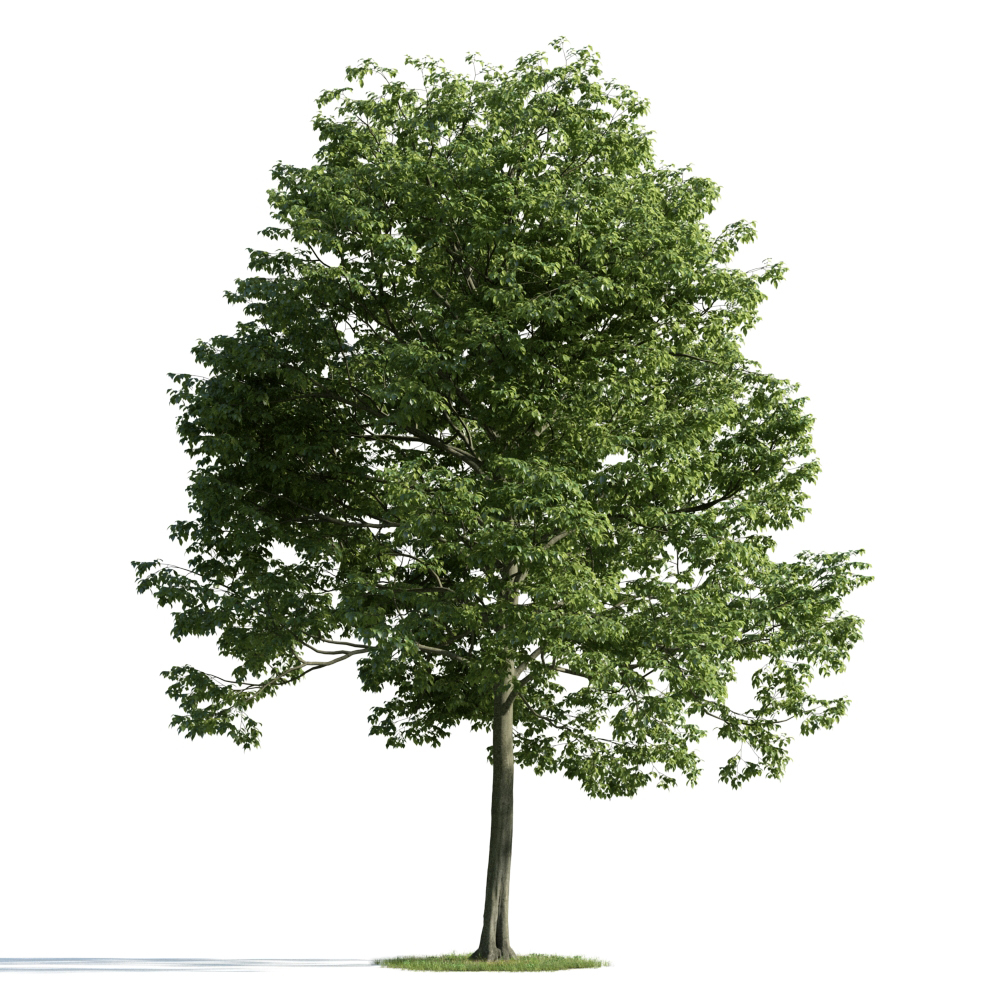 3d archmodels vol 163 trees