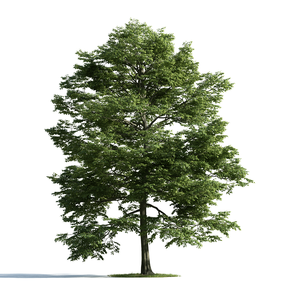 3d archmodels vol 163 trees