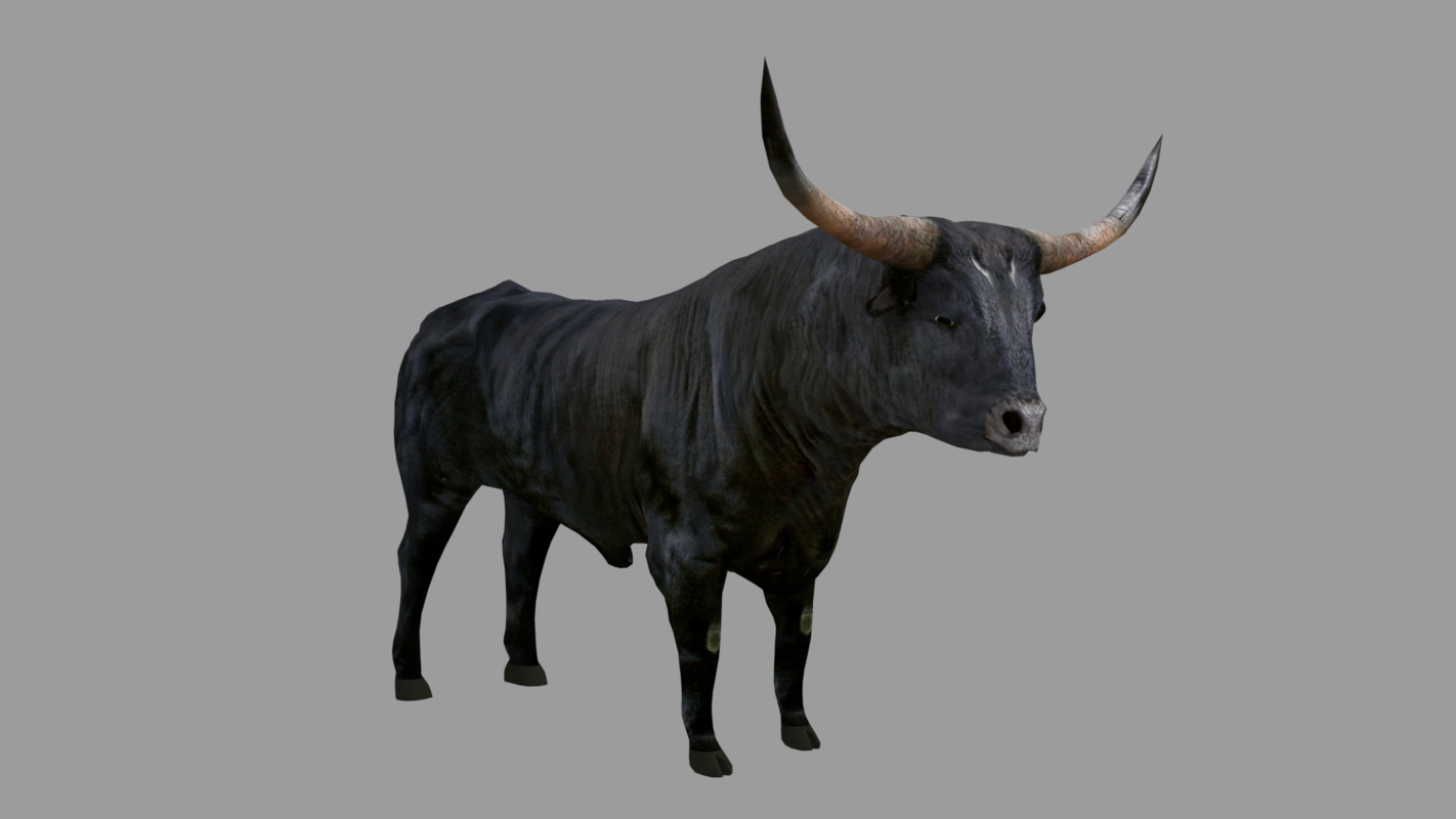 Rigged Bull 3D Models for Download | TurboSquid